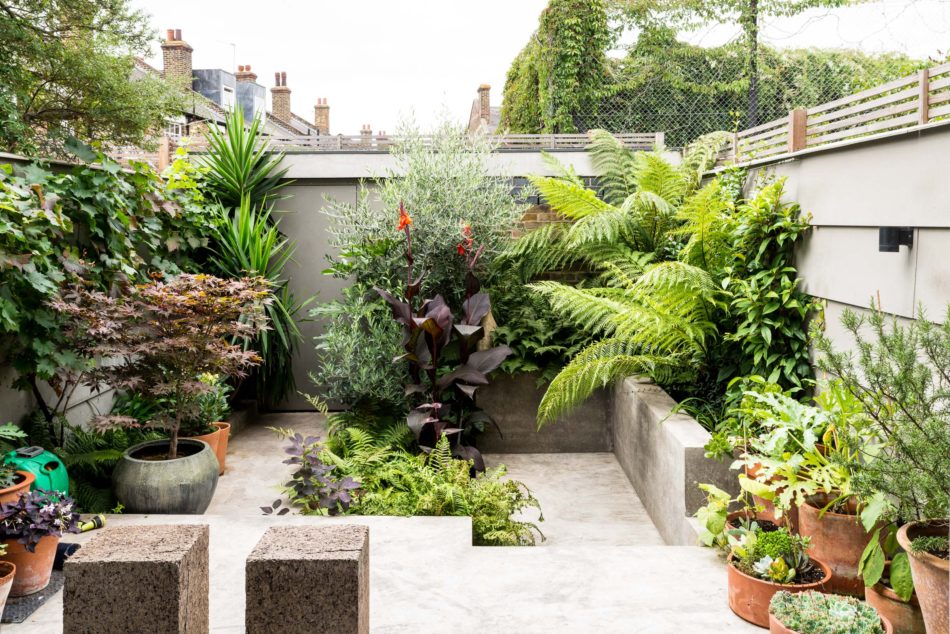 For Sale: Sheepcote Lane, London SW11 | The Modern House