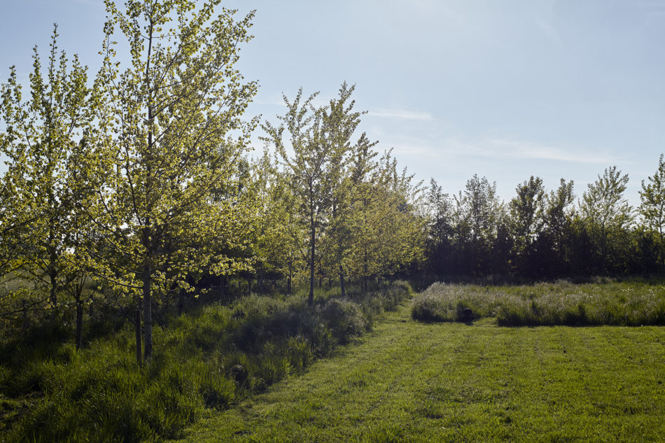 For Sale: Bressingham, Norfolk | The Modern House