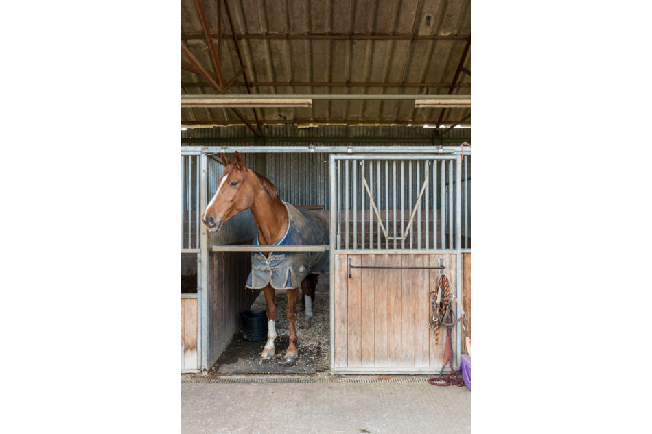 For Sale: Hapsford Stables, Frome, Somerset | The Modern House