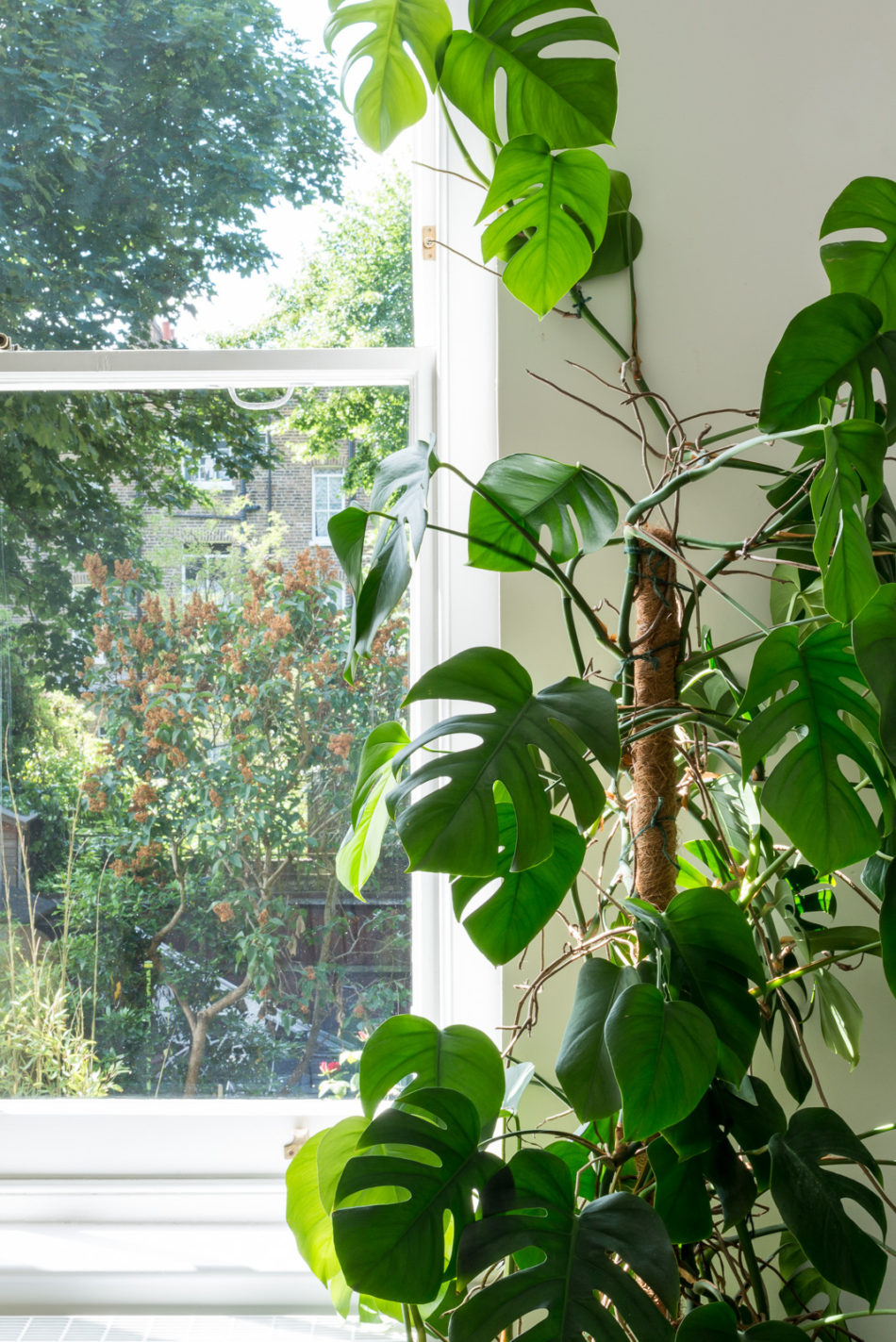 For Sale: Caversham Road II, London NW5 | The Modern House