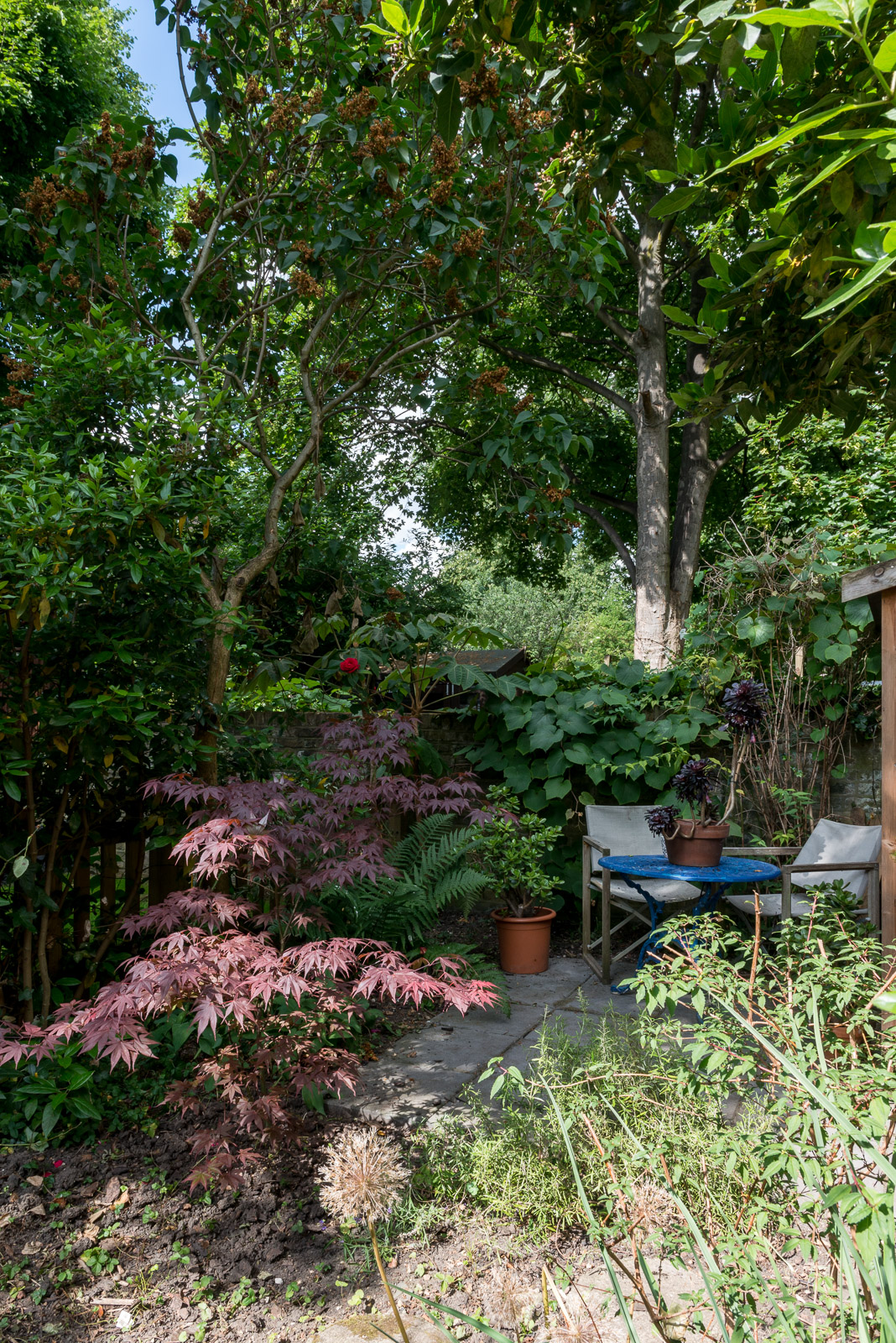 For Sale: Caversham Road II, London NW5 | The Modern House