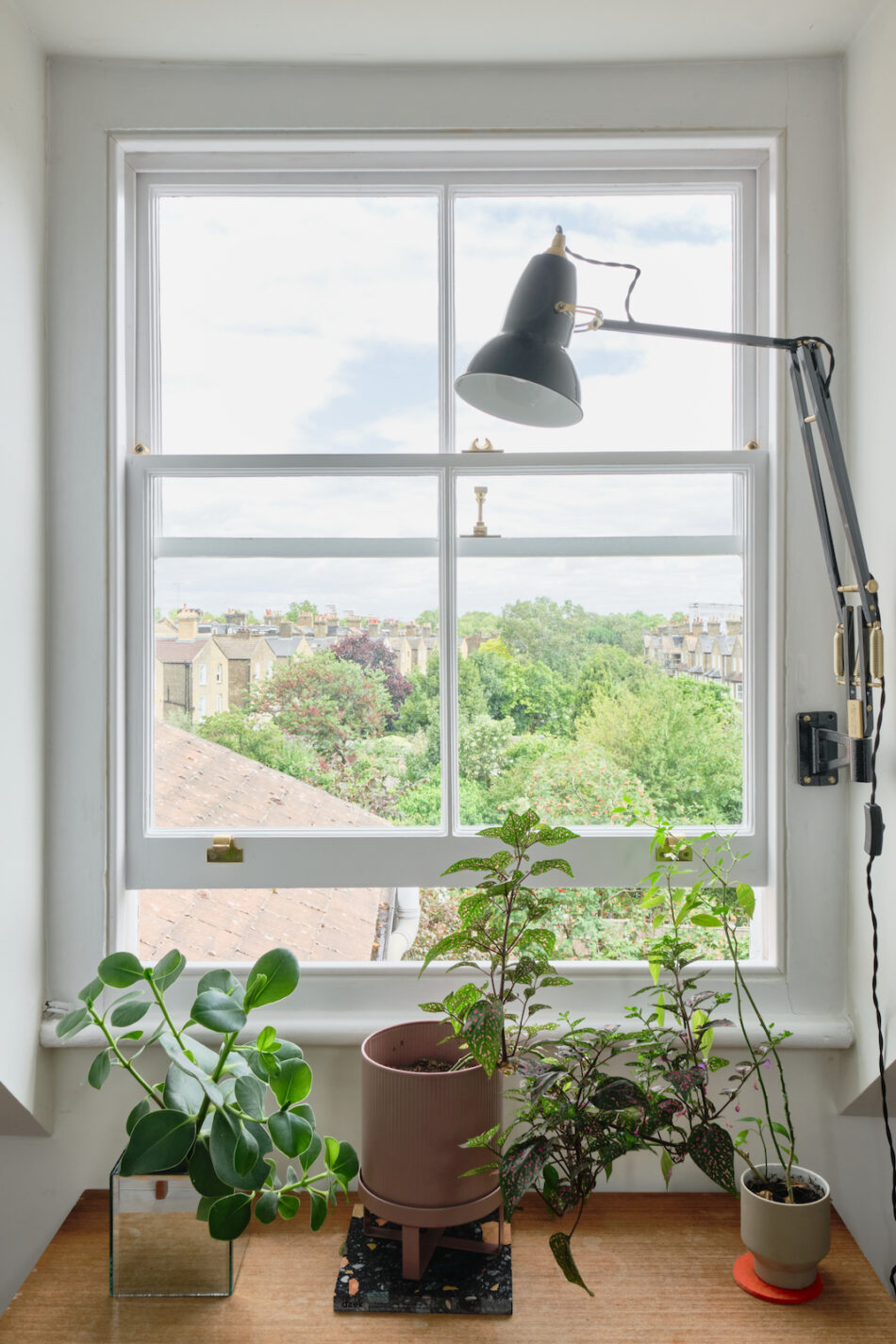 Lower Clapton Road London E5 | The Modern House