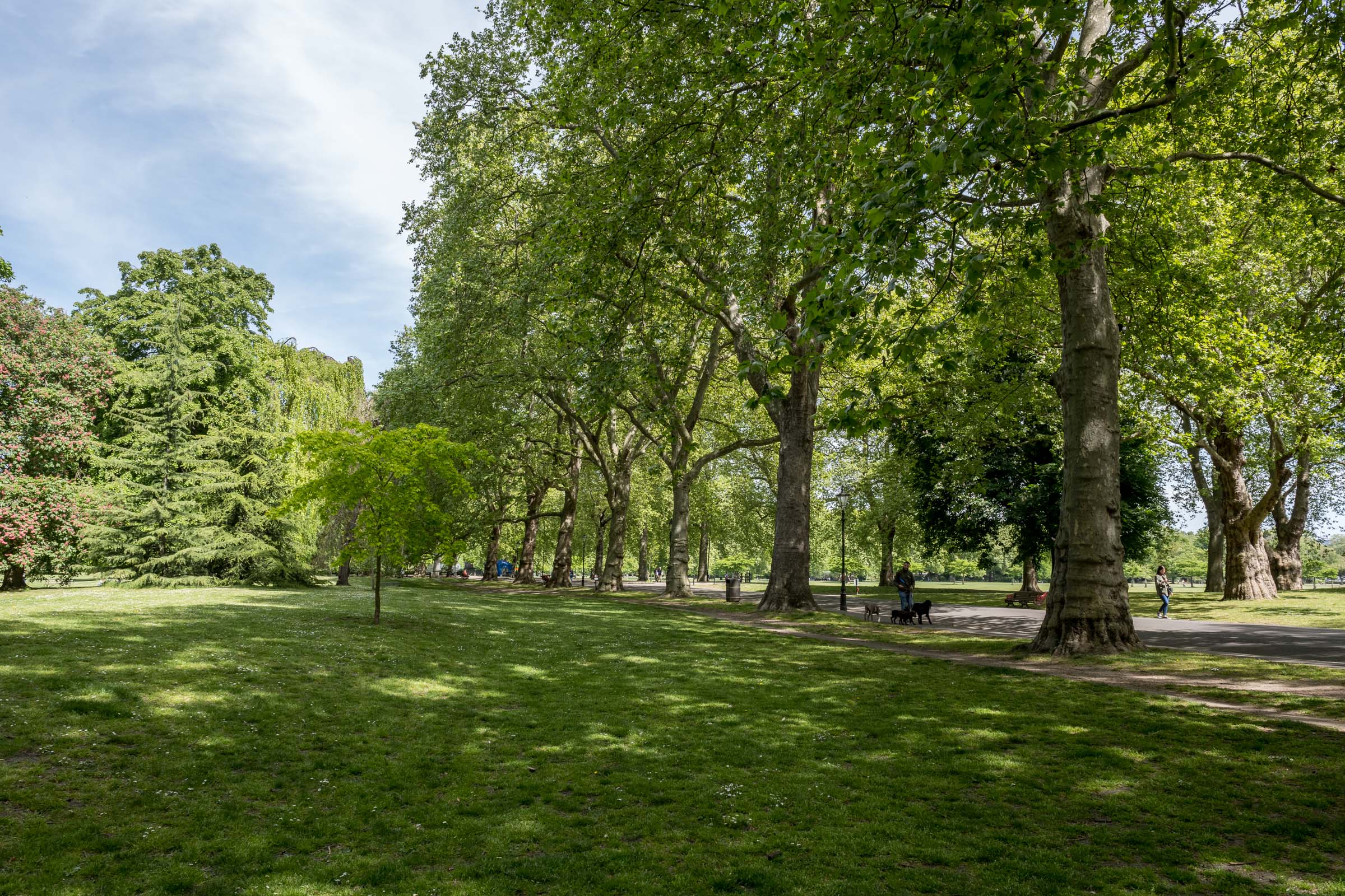 For Sale: Albert Bridge Road, London SW11 | The Modern House