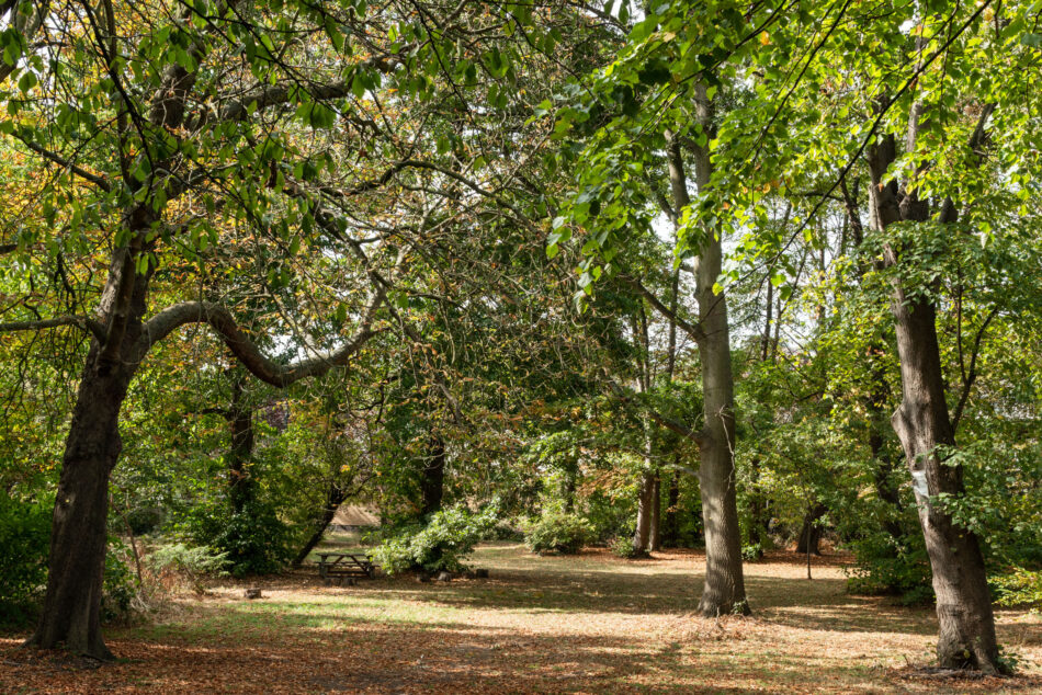 For Sale: Brockley Rise, London SE23 | The Modern House
