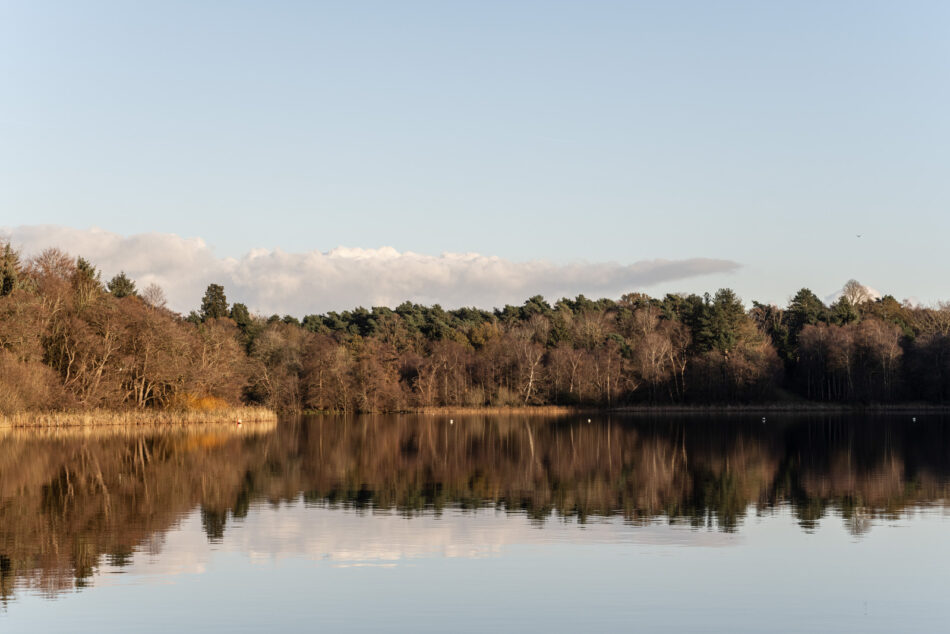 For Sale: Hill Wood, Fritton Lake, Norfolk | The Modern House