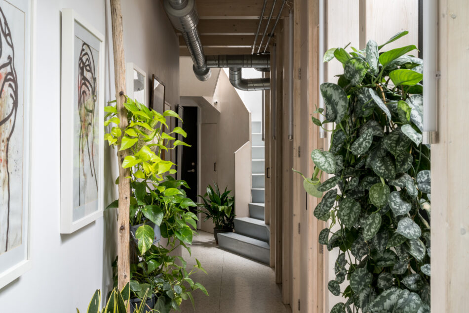 For Sale: Lutwyche Road, London SE6 | The Modern House