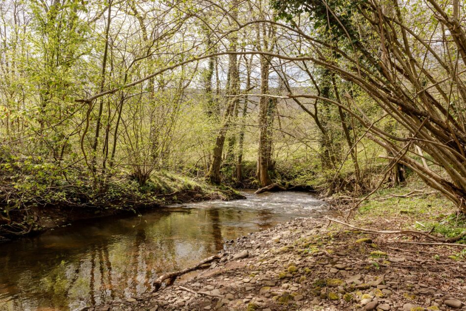 For Sale: Mountain Road, Longtown, Herefordshire | The Modern House