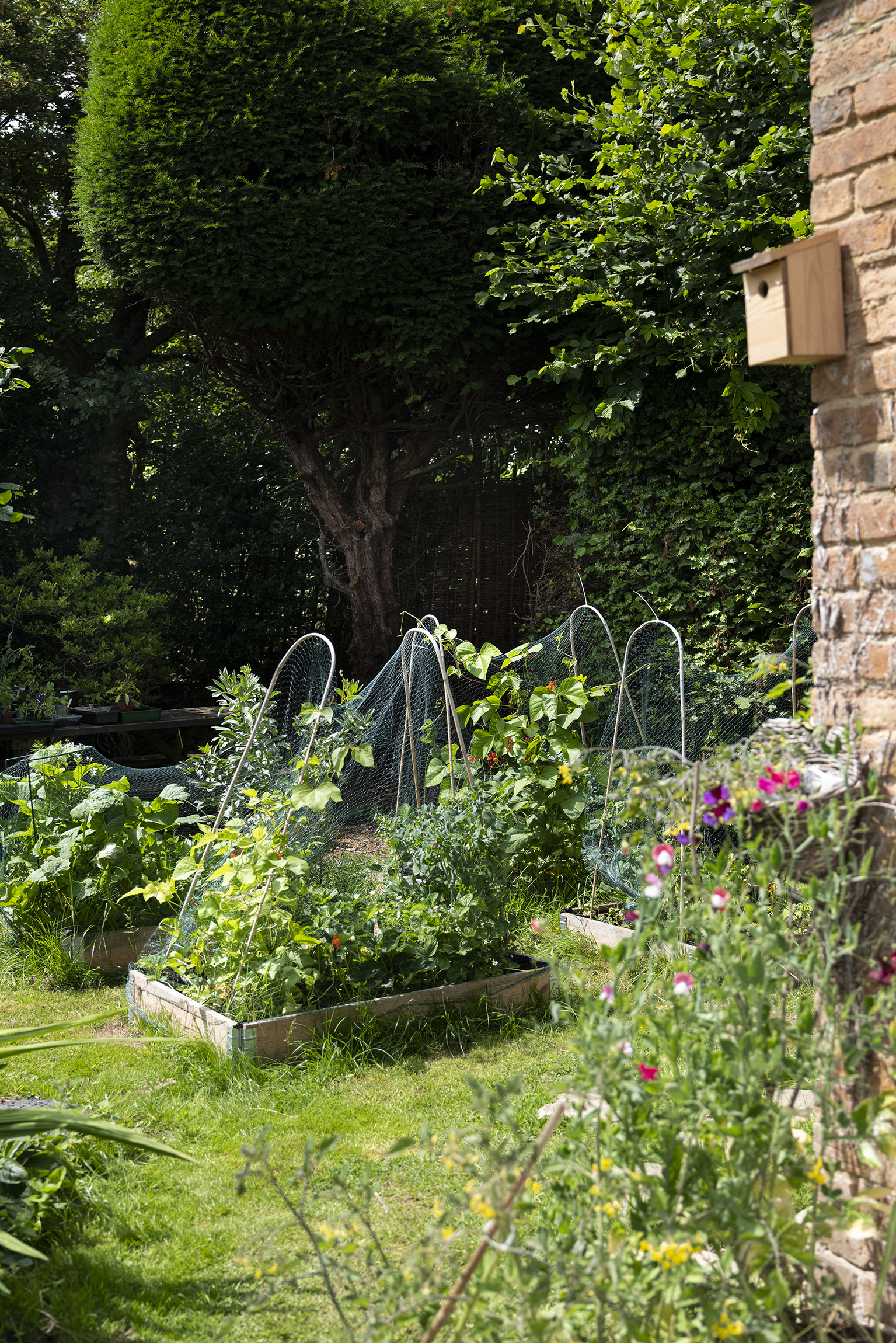 For Sale: Downley Common, Downley, Buckinghamshire | The Modern House