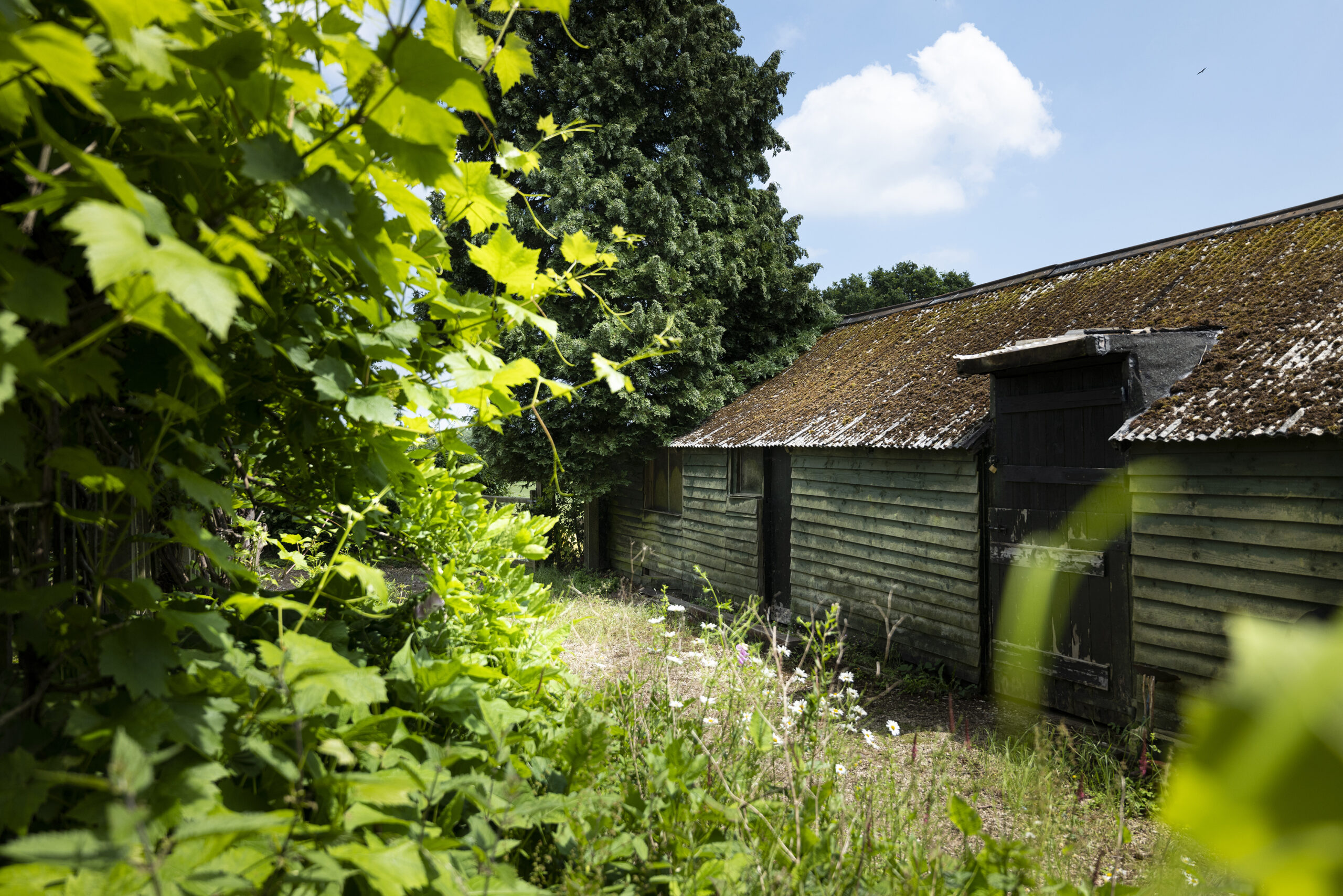 For Sale: Downley Common, Downley, Buckinghamshire | The Modern House