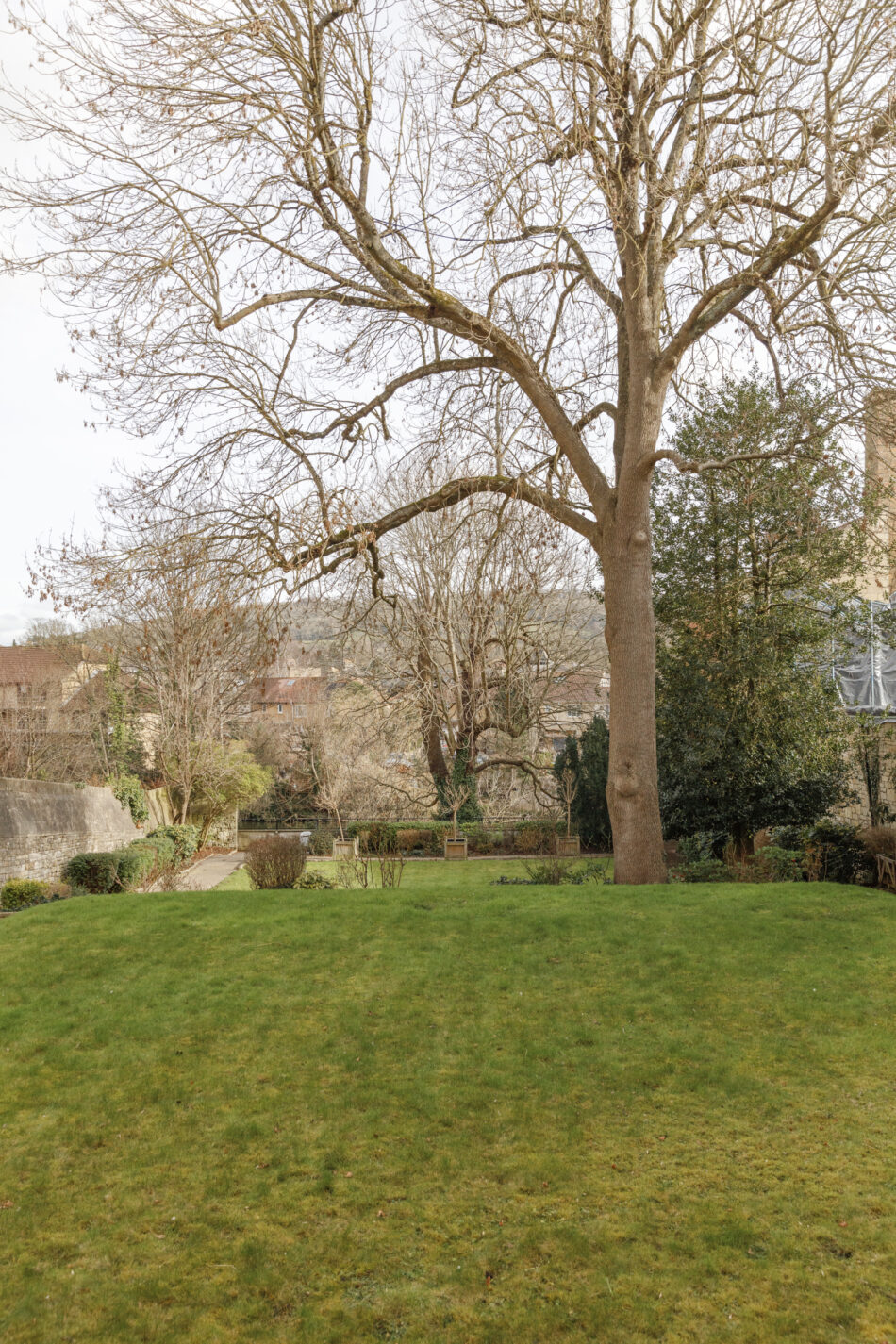 For Sale: Walcot Street, Bath, Somerset | The Modern House